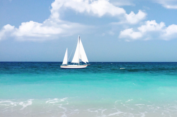 Strategie di mitigazione dei rischi e pianificazione dei progetti ...